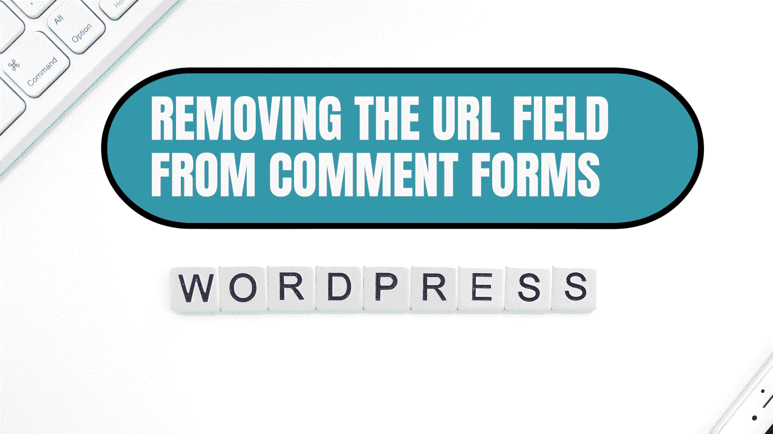 Enhancing WordPress Comment Forms: Removing the URL Field - AmoyCreative